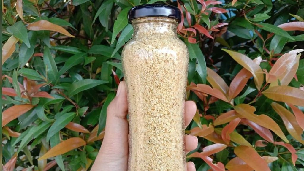 Cara Mudah Bikin Bubuk Tempe, Bisa Jadi Stok Protein Si Kecil!